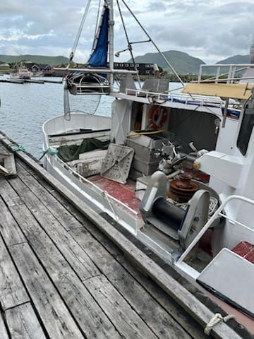 Gullfisk, LM 8439, Torsk 9-10 meter. - Oso Maritim