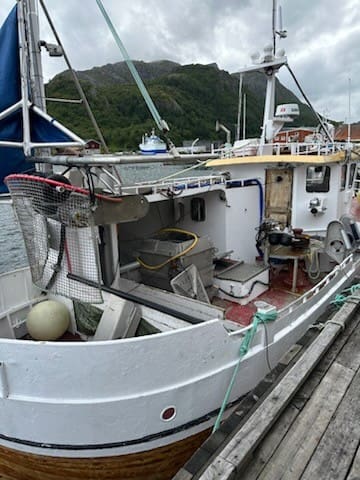 Gullfisk, LM 8439, Torsk 9-10 meter. - Oso Maritim